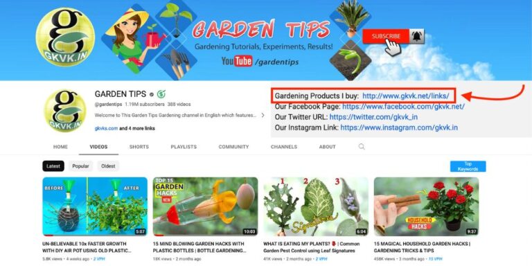 YouTube Automation: What Is It And How Does It Work? - Loud Money Moves